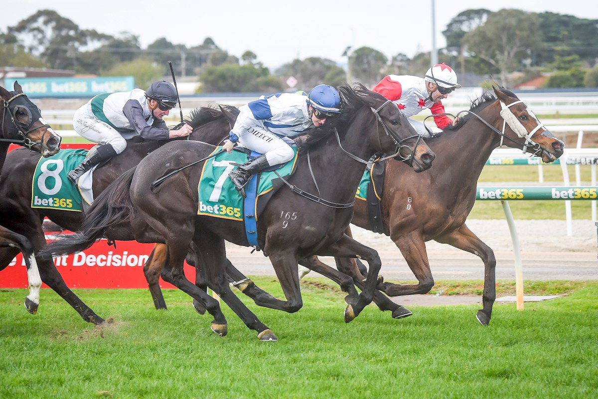Danny O'Brien Racing - Press Box
