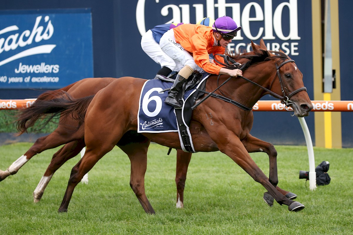 Danny O'Brien Racing - Press Box