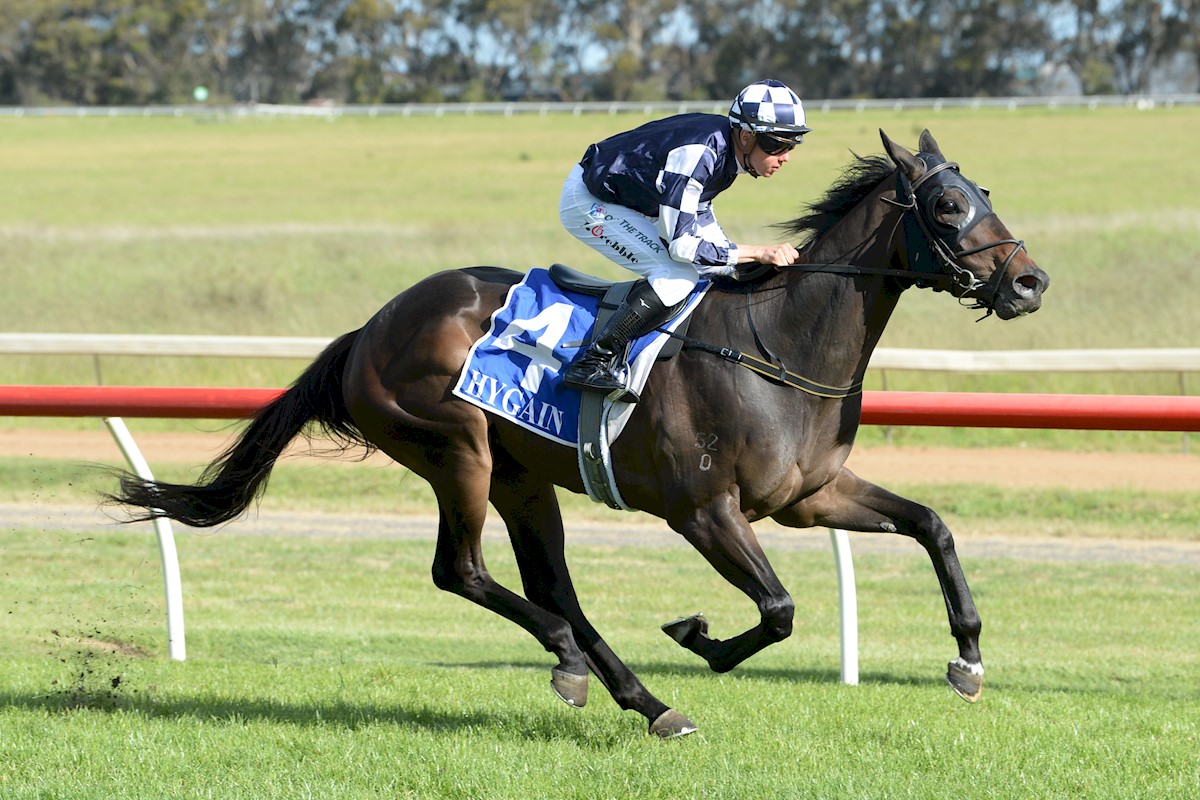 Danny O'Brien Racing - Press Box
