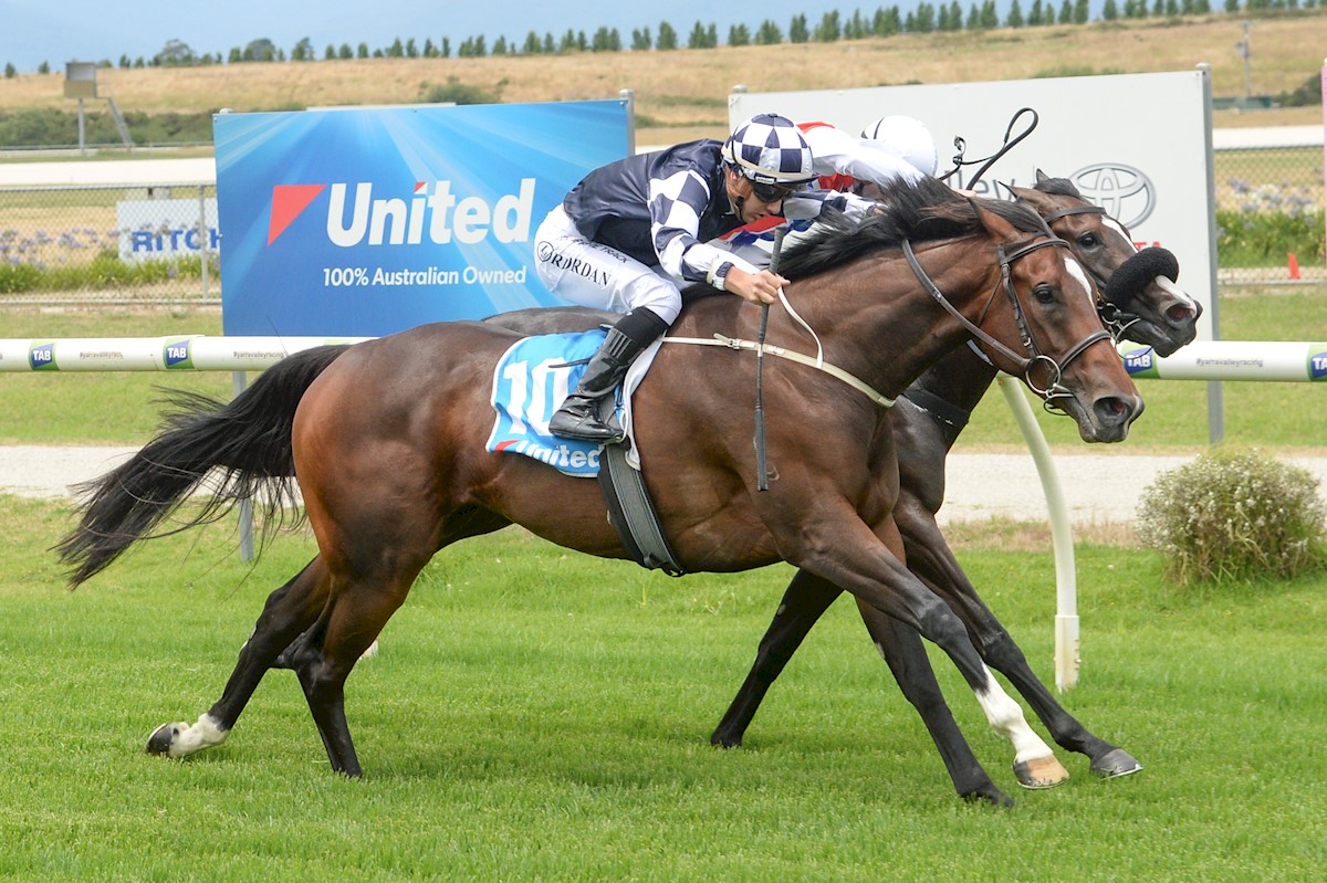 Danny O'Brien Racing - Press Box