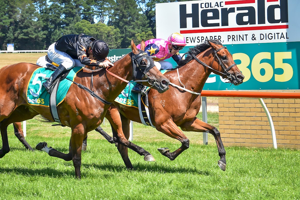 Danny O'Brien Racing - Press Box
