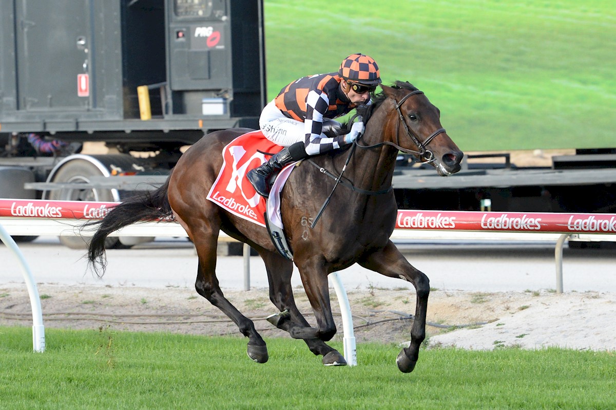 Danny O'Brien Racing - Press Box