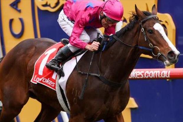 Danny O'Brien Racing